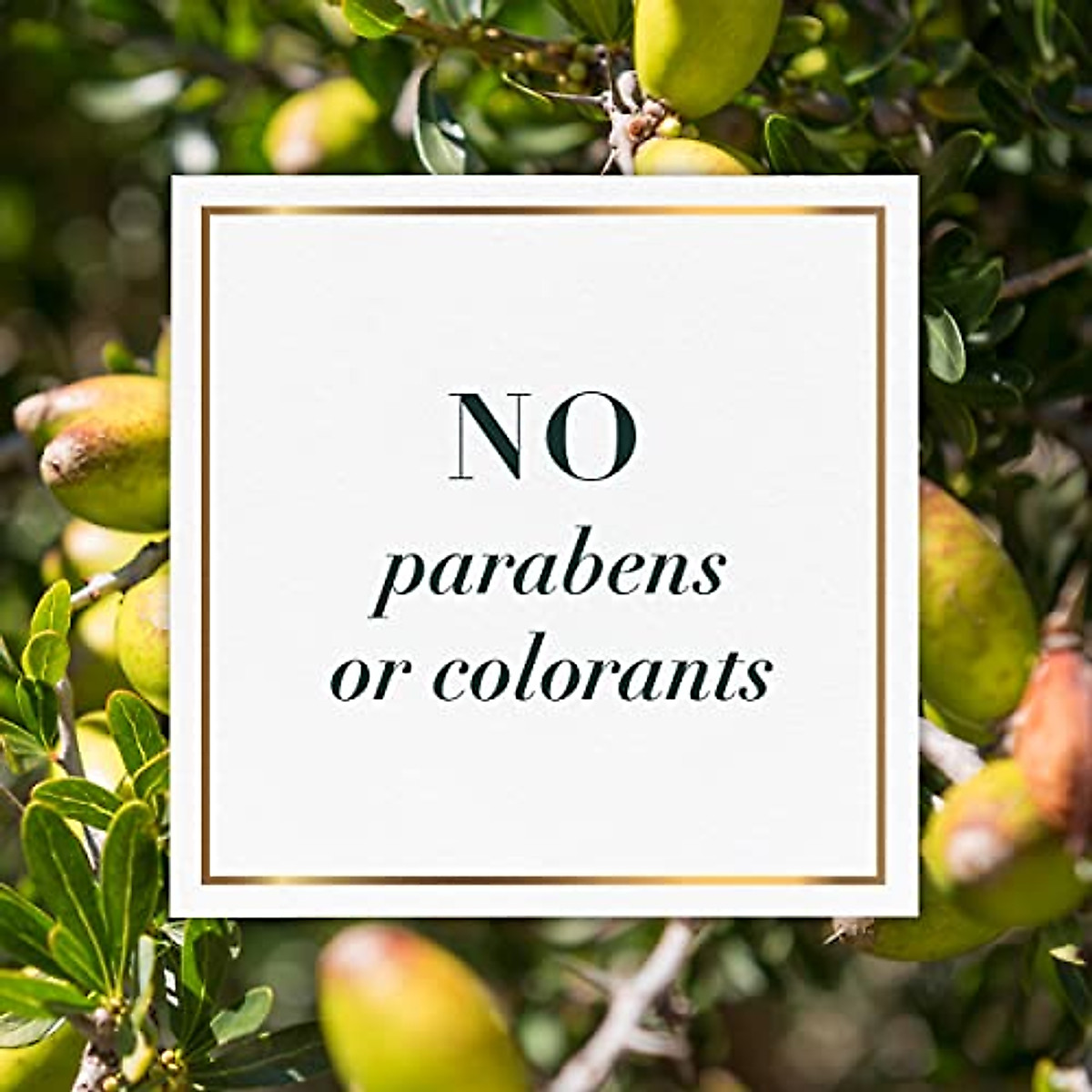 Herbal Essences Argan Oil Paraben Free Shampoo, Hair Repair, 13.5 fl oz, with Certified Camellia Oil and Aloe Vera, For All Hair Types, Especially Damaged Hair