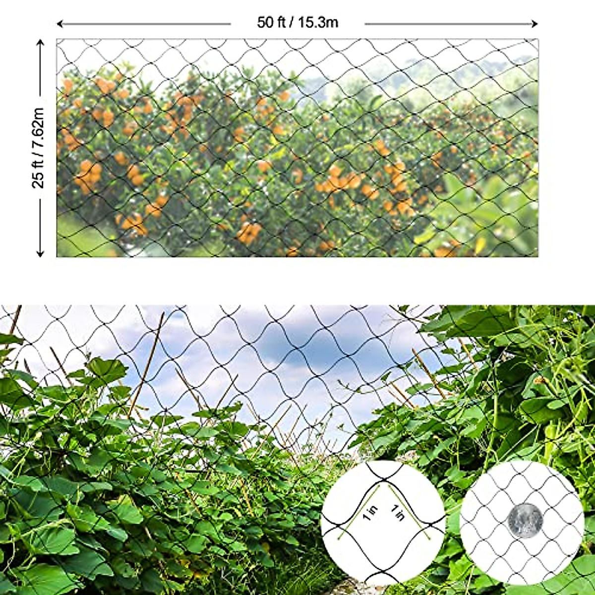 25' X 50' Net Netting for Bird Poultry Aviary Game Pens New 1" Square Mesh Size (25' x 50'-1'')