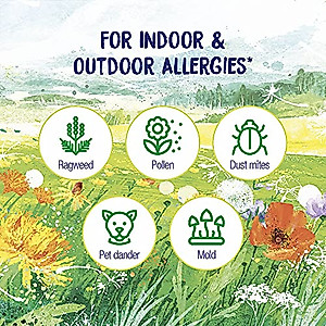 Boiron RhinAllergy Tablets for Relief from Allergy Symptoms of Sneezing, Runny Nose, and Itchy Eyes or Throat - 60 Count