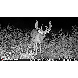 STEALTH CAM Fusion X-Pro Dual Sim 36 MP Photo & 720P HD Video 0.4 Sec Trigger Speed Wireless Hunting Trail Camera - Available on AT&T & Verizon
