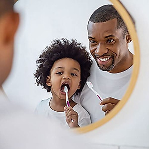 Plaque HD Mouth Rinse Whitening & Remineralizing Fresh Mint | 16 FL OZ (473 ML) | Made in The USA | Provides a Healthy Alkaline PH Level in The Mouth, Gentle Whitening Formula, Fresh Breath