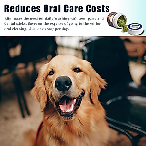 ColEaze Dog Teeth Cleaning Powder-Dog Dental Care and Bad Breath Treatment, Plaque Removal Herbal Dental Powder for Healthy Teeth & Gums for All Dogs