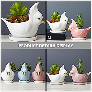 Homoyoyo Parrot Planter Pot Ceramic Flower Pot for Bonsai Mini Parrot Shape Succulent Planter with Saucer for Suculent Cactus Flower Pot Holder Bird Figurine for Desk Decoration White