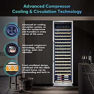 TYLZA Wine Fridge 24 Inch, 189 Bottles Large Wine Cooler Refrigerator, Built-in or Freestanding Tall Wine Cooler with Upgraded Compressor, Low Noise, Fast Cooling and Intelligent Temperature Memory