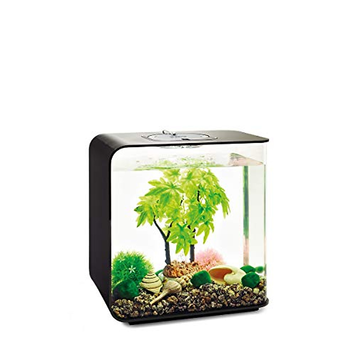 biOrb Decor Set 30L Summer Medium