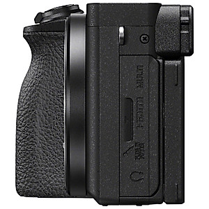 Sony a6600 Mirrorless Camera 4K APS-C Body Only Interchangeable Lens Camera ILCE-6600B with Deco Gear Case + Extra Battery + Flash + Wireless Remote + 64GB Memory Card + Software + Accessories Bundle