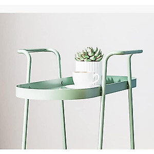 Rolling Cart Trolley Carts With Wheels Office 2 Tier Iron Rolling Cart With Wheels Living Room Sofa Side Home Balcony Movable Push Kitchen Storage Rack Cart Kitchen Utility Cart Dorm Room Essentials (