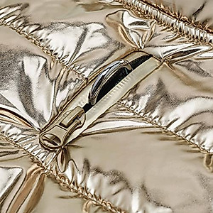 Blueberry Pet 2023 New Cozy & Comfy Windproof Lightweight Quilted Fall Winter Glossy Dog Puffer Jacket in Gold, Back Length 24", Size 22, Warm Coat for Large Dogs