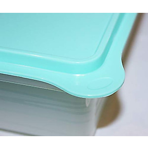 Tupperware Snack and Store Square Container Frosted Sheer and Mint