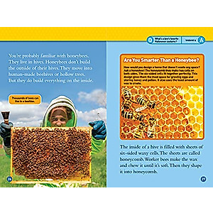 Animal Architects (National Geographic Kids Readers, Level 3)