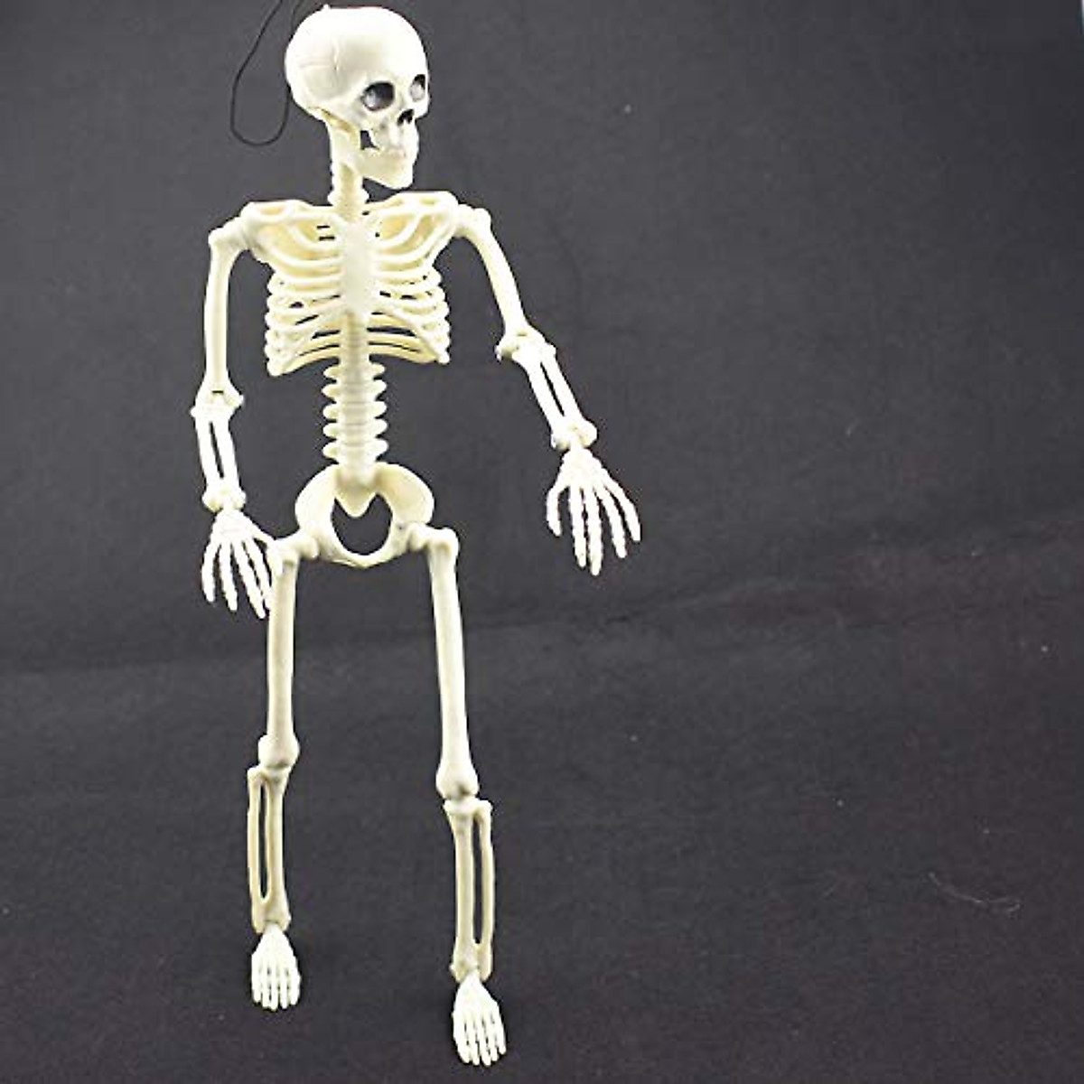 XONOR 16” Posable Halloween Skeleton- Full Body Halloween Skeleton with Movable Joints for Haunted House Props Decorations (1pc)