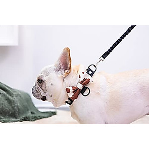 BOW Teddy - Modular Dog Collar