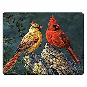 Rivers Edge Products Large 12in x 16in Decorative Tempered Glass Cutting Board, Hypoallergenic, Non Slip, Textured Surface Chopping Board for Kitchen, Cute Birds for Bird Watcher, Cardinal