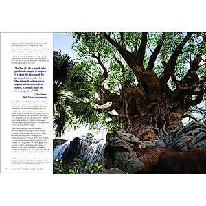 A Portrait of Walt Disney World: 50 Years of The Most Magical Place on Earth (Disney Editions Deluxe)