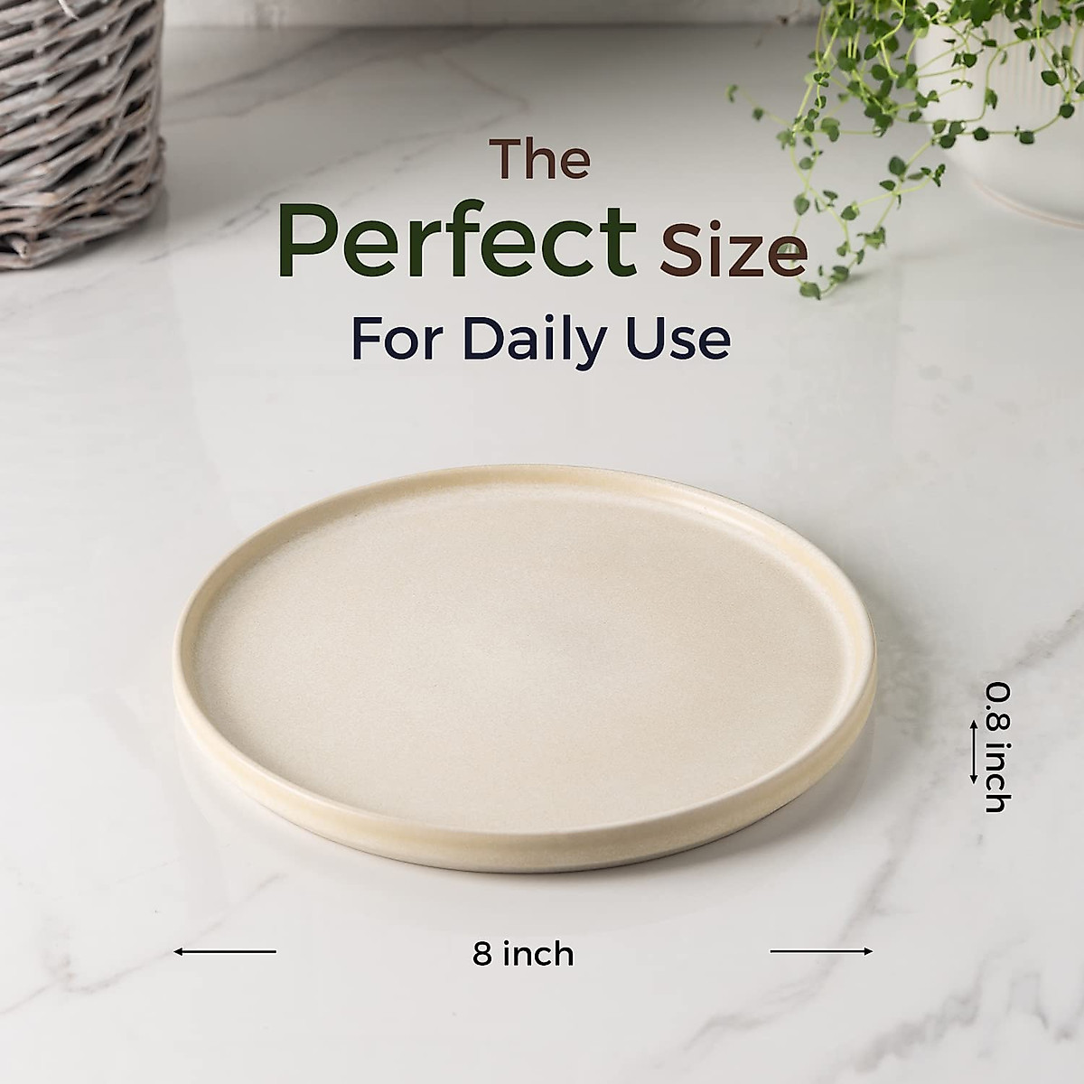 AmorArc Ceramic Dinner Salad Plates Set of 4, 8.0 Inch Reactive Matte Glaze Dish Set, Dessert,Salad, Appetizer, Small Dinner Plate,Microwave, Dishwasher Safe, Scratch Resistant, Ivory