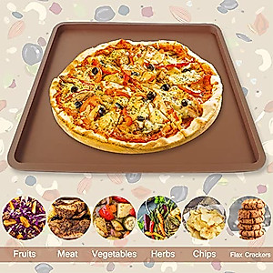 6Pcs Silicone Dehydrator Mats with Edge for 14" x 14" Trays Compatible with Excalibur Dehydrator, - Nonstick Silicone Drye Sheets Multi-purpose Reusable for Jerky, Fruit, Meat, Herbs, Vegetables, Cracker…