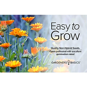 Calendula Seeds for Planting (Pacific Beauty Mix) - Annual Flower Seeds Great for Cut Flower Gardens, Herbal Tea and for Medicinal Purposes, Open Pollinated Flower Seed by Gardeners Basics