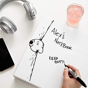 SHARPIE Fine Point Permanent Markers, 24 Markers (2 X Box's of 12), Black (30051)