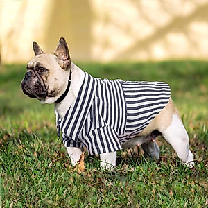 Dog Shirt, Pet Puppy Stripe Clothes, Adorable Outfit T-Shirt for Small Medium Large Male Female Cats Dogs, Breathable Soft Kitten Apparel for Birthday Party Photos Halloween Thanksgiving Christmas