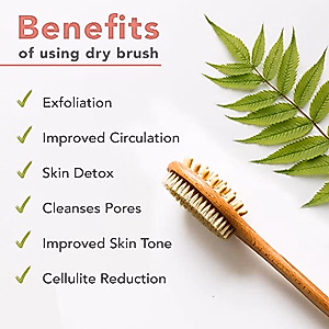 Dry Brushing Body Brush for Lymphatic Drainage with Anti Cellulite Massager - Long Handle Dual Sided Body Brush for Showering - Dry Brush for Body Back Scrubber for Shower (1Pc)