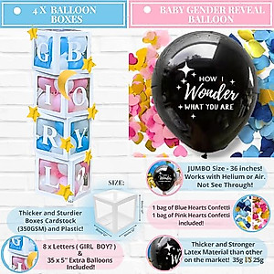 191 PC Twinkle Twinkle Little Star Gender Reveal Decorations - Includes Gender Reveal Balloon Arch Garland & GIRL BOY Balloon Boxes & Gender Reveal Balloon and More – Gender Reveal Ideas