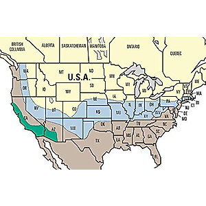 UC Verde Buffalograss Plugs