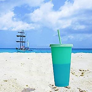 Color Changing Cups Set Cooler 24oz Reusable Plastic Cold Drink Cups with Lids and Straws for Adults Straws In Bright Colors, 5 Iced Coffee Cup, Smoothie Cups with Lids and Straws, Tumbler with Straw