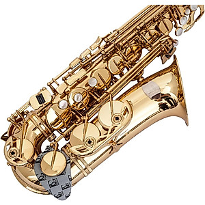 BG(0002698761) Saxophone Cleaning and Care Product (A65S),gray