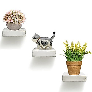 HADEEONG 3-Pack Rustic Small Floating Shelves - 4 Inch Wood Display Ledges for Small Decor, Compact Style Wall Shelf for Farmhouse Bedroom, Living Room, Office