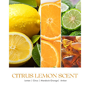 AOOVOO Citrus Lemon Odor Eliminating Highly Fragranced Candle - Eliminates 95% of Pet, Smoke, Food, and Other Smells Quickly, Wood Wick Air Freshing Soy Candle, 9 oz Up to 50 Hours Burn time