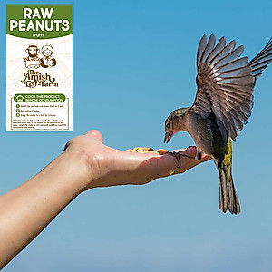 Amish Eco-Farm | Raw Peanuts in Shell, Virginia Grown by Hamptons Farms | Great for Boiling, Squirrels Feed, Birds Feed and Wildlife. (4lb Bag)