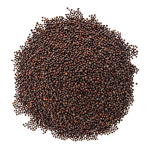 Sulforaphane MICROGREEN Seed Mix | Perfect for Microgreen Growing Trays | Kale, Cabbage, Turnip & Broccoli Sprouting Seeds | Non GMO Heirloom Seeds | 1 LB Resealable Bag | Rainbow Heirloom Seed Co.