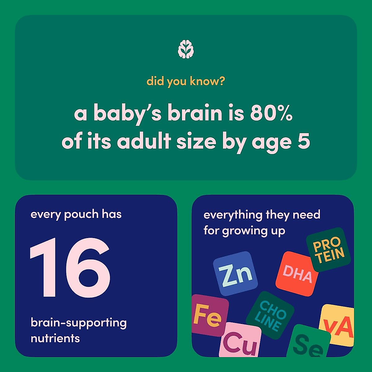 Cerebelly Organic Baby Food Pouches – 6+ Months Organic Veggie Pouches | 16 Nutrients, No Added Sugar, Non-GMO | Toddler Pouches | 4 Ounce BPA-Free Baby Pouches | White Bean Pumpkin Apple | 6 Count