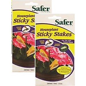Safer Brand SF5026 Houseplant Sticky Stakes Insect Traps, 2 Pack