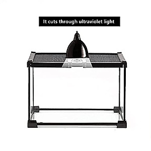 PetWoW 3 Gallon Mini Reptile Glass Tank - 12" x 8" x 8" Full View Natural Terrarium for Reptile, Amphibian, Turtle, Lizard, Snake and Frog