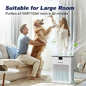 Air Purifiers for bedroom with PM 2.5 Display Air Quality Sensor,Remove Pet Hair Dust Smoke Pollutants Odor, 25dB Sleep Mode, Timer,Aromatherapy,HEPA Air Purifier for Home Large Room up to 1100 Sq Ft