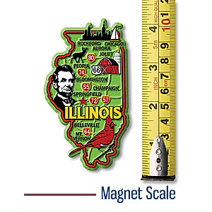 Illinois Colorful State Magnet by Classic Magnets, 2.3" x 4", Collectible Souvenirs Made in The USA
