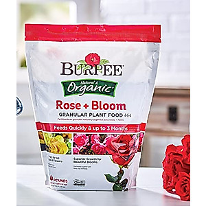 Burpee Organic Bloom Granular All-Natural Food for Roses and Flower Plants | Ideal for Container Gardens, Beds or Bushes, 4 lb, 4lb. Bag