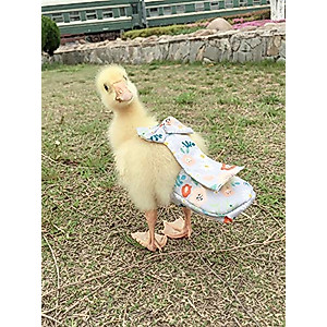 HEZHUO Duck Diapers, Chicken Diapers, Special Diapers for Poultry, Chicken, Duck and Goose Waterproof, Adjustable, Washable and Reusable Diapers，Poultry Supplies, Duck Supplies (M:200g-250g)