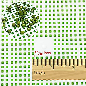 LeJoy Garden Seed Sprouter Tray BPA Free PP Soil-Free Big Capacity Healthy Wheatgrass Grower with Lid Sprouting Kit 13.4x9.84x4.72 inches(LxWxH)