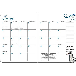 Effin' Birds 12-Month 2023 Monthly/Weekly Planner Calendar