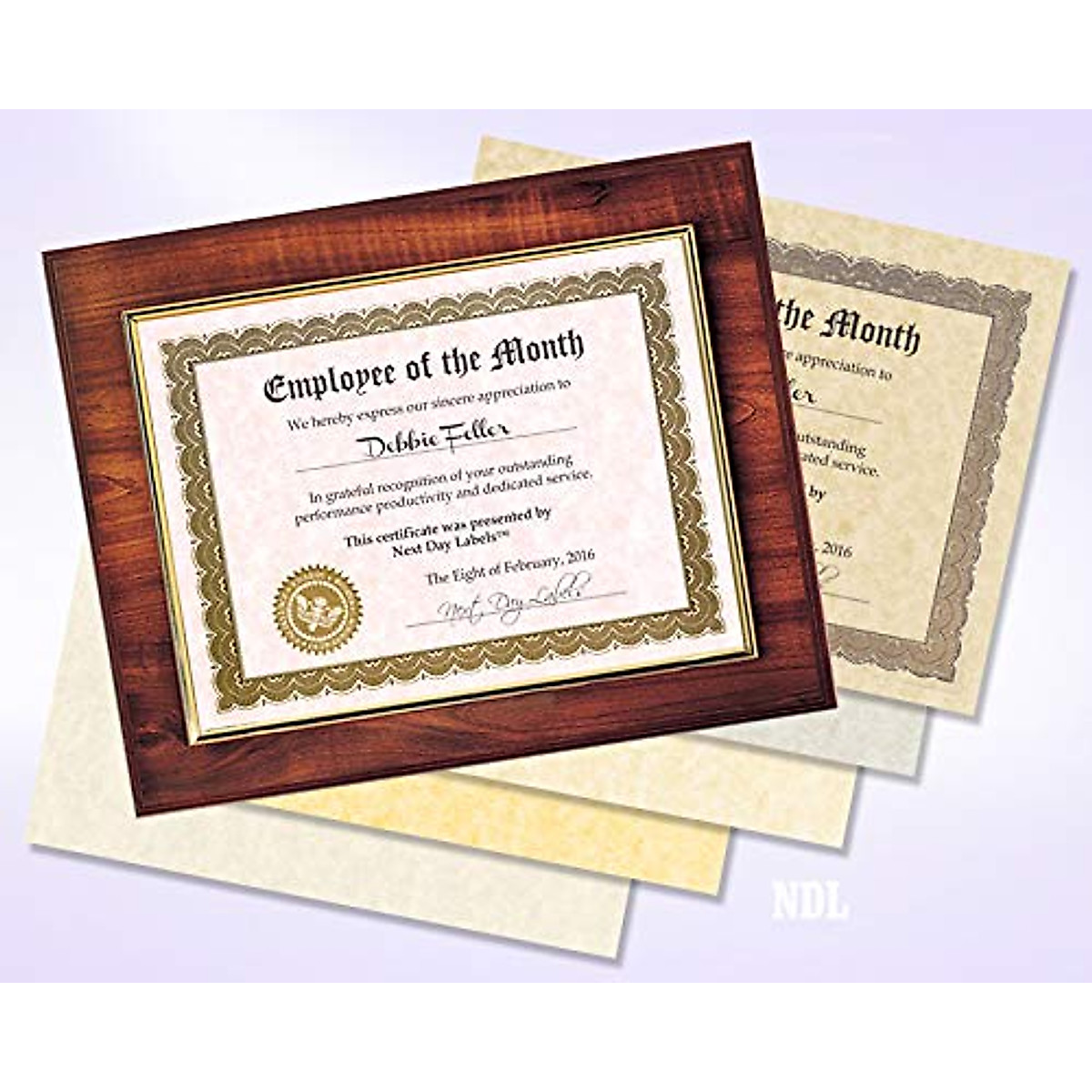 NextParch 8-1/2" x 11" (Letter Size) 65 lb. Parchment Cover Card Stock (Natural)