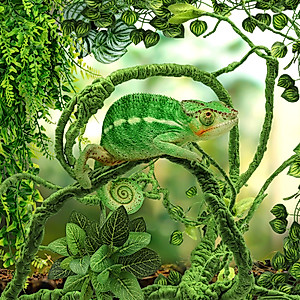 Bearded Dragon Tank Accessories for Habitat, QUOZUO Terrarium Hanging Plants Artificial Leaves Reptile Hide, Leopard Gecko Tank Accessories Snake Hide Terrarium Decor for Lizard Geckos Chameleon