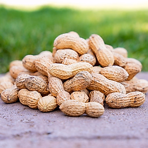 Desert Valley Premium in-Shell Peanuts - Wild Bird - Wildlife Food, Squirrels, Chipmunks, Cardinals, Jays & More (5-Pounds)