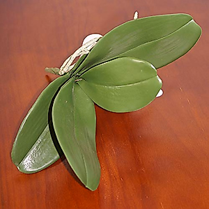 Qianmo Artificial Orchid Leaf Plants PU Latex Real Touch Faux Leaves Arrangement Home Décor Office Garden Bonsai Decoration Flowers (Big Size (3 Bunches))