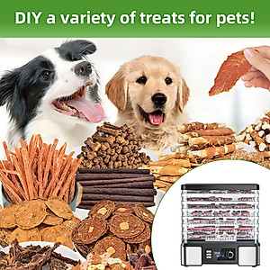 Food Dehydrator Machine Dryer for Jerky: Stainless Steel Dehydrater for Fruit Herb - Digital Food Drier for Meat Beef Dehydration