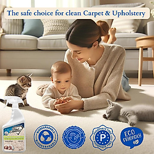 Black Diamond Stoneworks carpet and upholstery cleaner: this fast acting deep cleaning spot and stain remover spray also works great on rugs, couches, and car seats.(1-Quart)