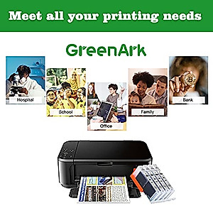 GREENARK Compatible Ink Cartridge Replacement for Canon CLI-251 GY Gray CLI-251GY XL Gray Ink Cartridge Work for Canon PIXMA MG6320 Pixma MG7120 Pixma MG7520 Pixma IP8720 Printers, 4 Pack 251XL GY
