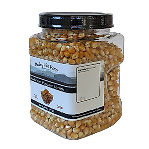 Mushroom Popcorn kernels by Medley Hills farm in Reusable Container 1.7 Lbs. - Gourmet popcorn kernels for popcorn machine - Gluten Free - Non GMO