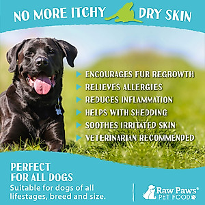 Raw Paws Skin & Coat Treats for Dogs, 10-oz/100-ct - USA Made - Coconut & Salmon Omega 3 Dog Treats, Soft Skin Chews - Dry Skin Dog Treats Support Healthy Dog Coat - Skin and Coat Supplement for Dogs